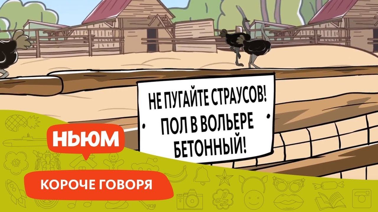 На самом деле