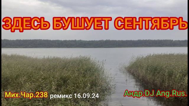 Мих.Чар.238