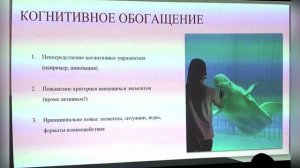 Конференция ″Океан в Городе″ 2023