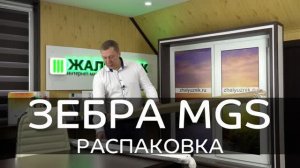 Зебра MGS - рулонные шторы