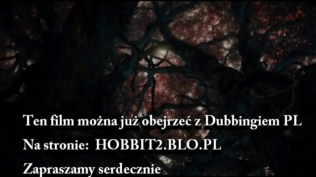 Hobbit: Pustkowie Smauga / The Hobbit: The