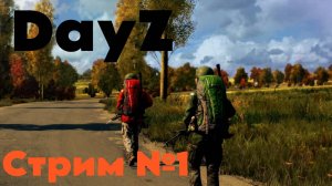 DayZ  выживание в пати