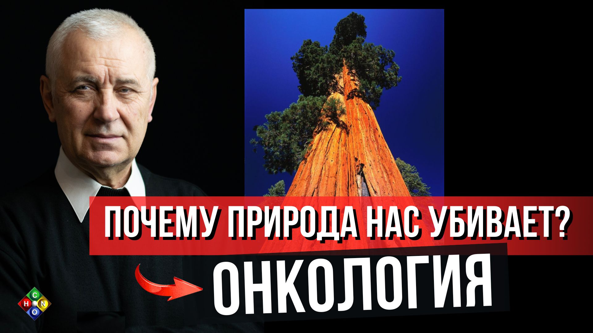 Здоровье. Юрий Шульга. Школа Болотова. – смотреть онлайн все 2 видео от  Здоровье. Юрий Шульга. Школа Болотова. в хорошем качестве на RUTUBE