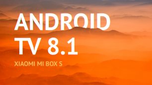 Xiaomi Mi Box S на Android TV 8.1