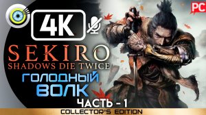 Sekiro: Shadows Die Twice ✪ Завершено 100%