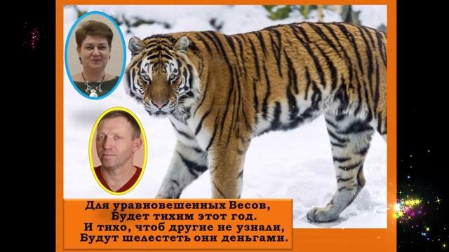 Мои работы