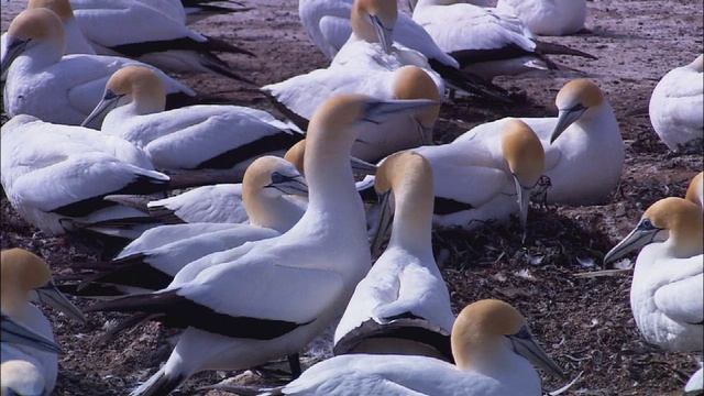 Приватные браузеры: руководство для начинающих