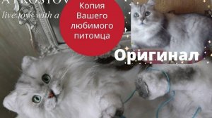 Кошки реалистичные мягкие подвижные игрушки