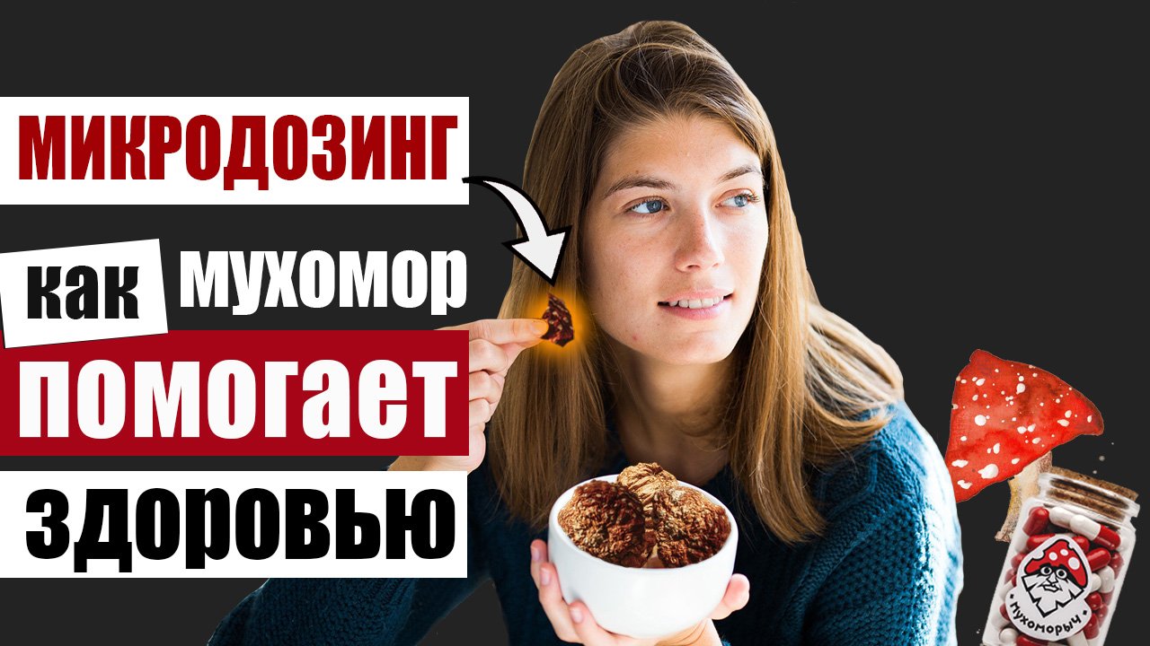 Вкусно и полезно - продукты для здоровья – смотреть онлайн все 49 видео от  Вкусно и полезно - продукты для здоровья в хорошем качестве на RUTUBE