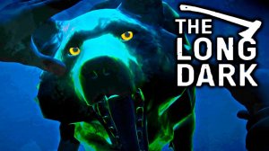 The Long Dark