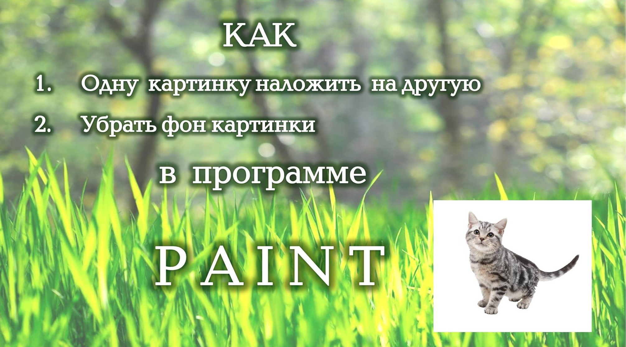 Paint – смотреть онлайн все 3 видео от Paint в хорошем качестве на RUTUBE