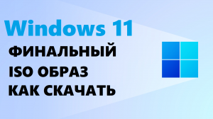 Windows 11