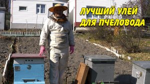 Для начинающих пчеловодов