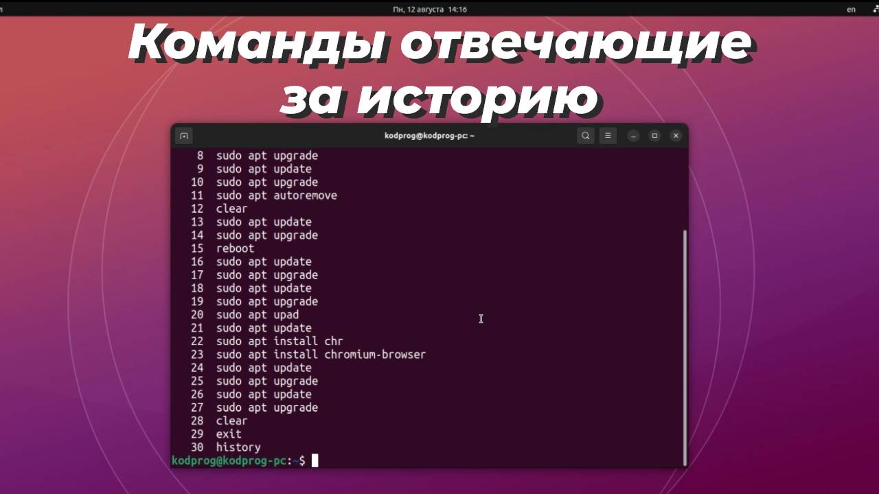 Основы терминала linux