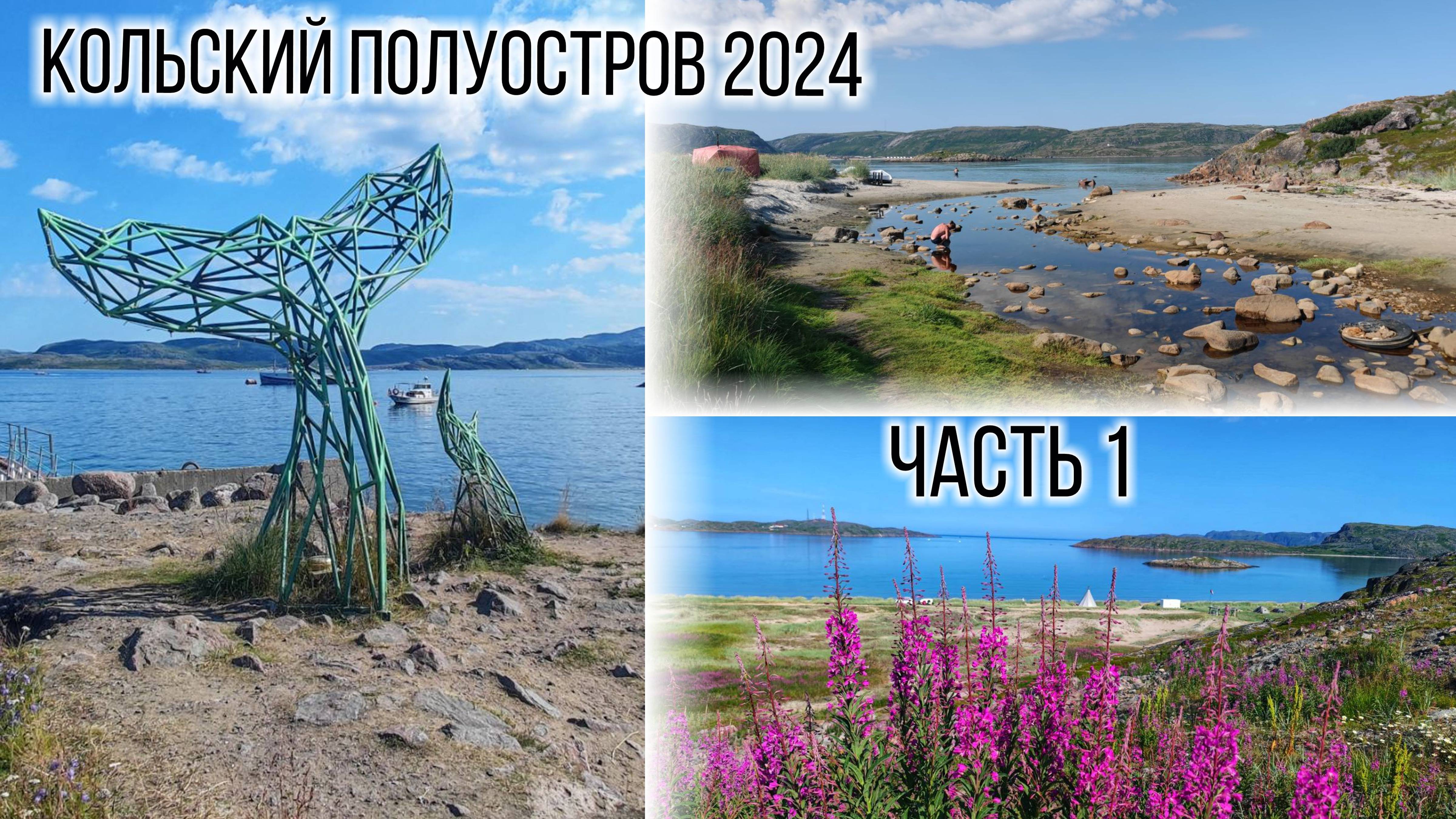 Север 2024