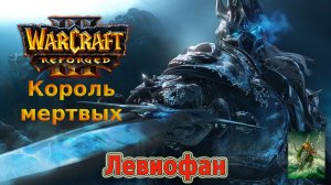 Warcraft III Нестандартные кампании. Король мертвых