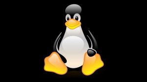 Linux с нуля до сертификата