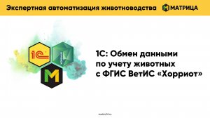 Семинары и конференции