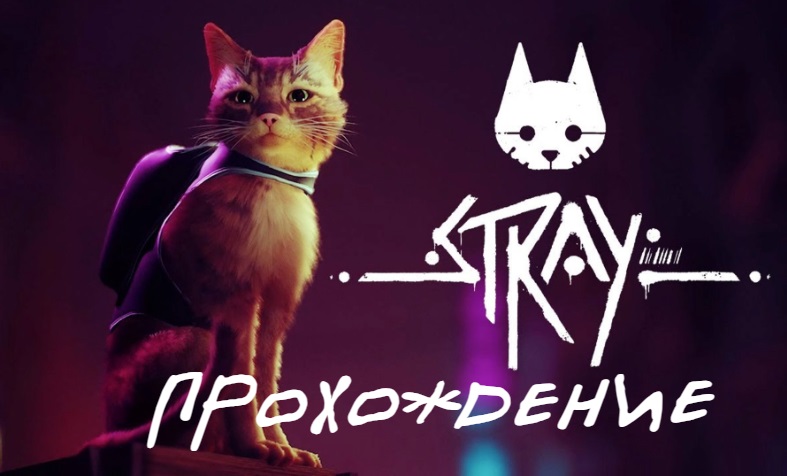 Stray