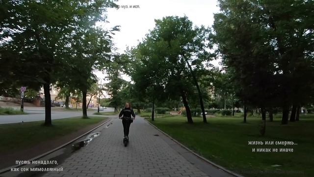 ПИТЕР утро 130821 с Петроградки в Сосновую Поляну