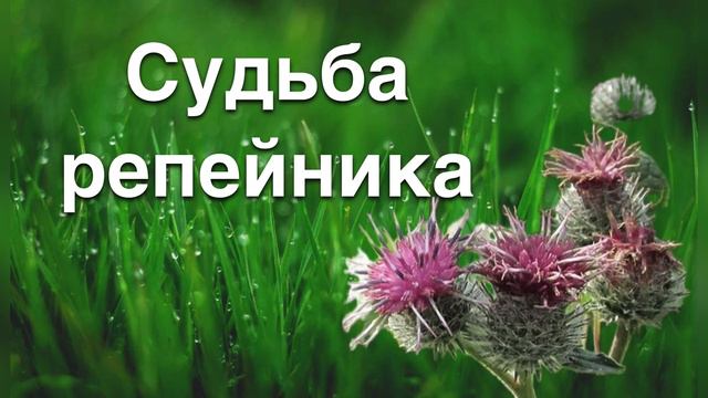 Сказки зарубежных писателей