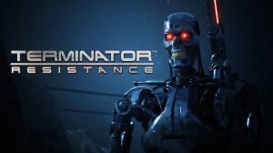 Terminator Resistance