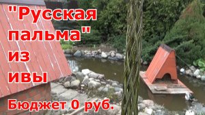 Сделано своими руками