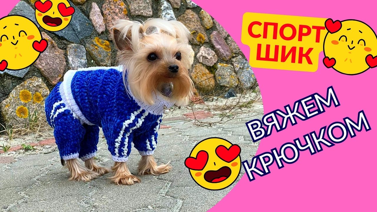 Продажа домашних животных Одесса - вязка йорка