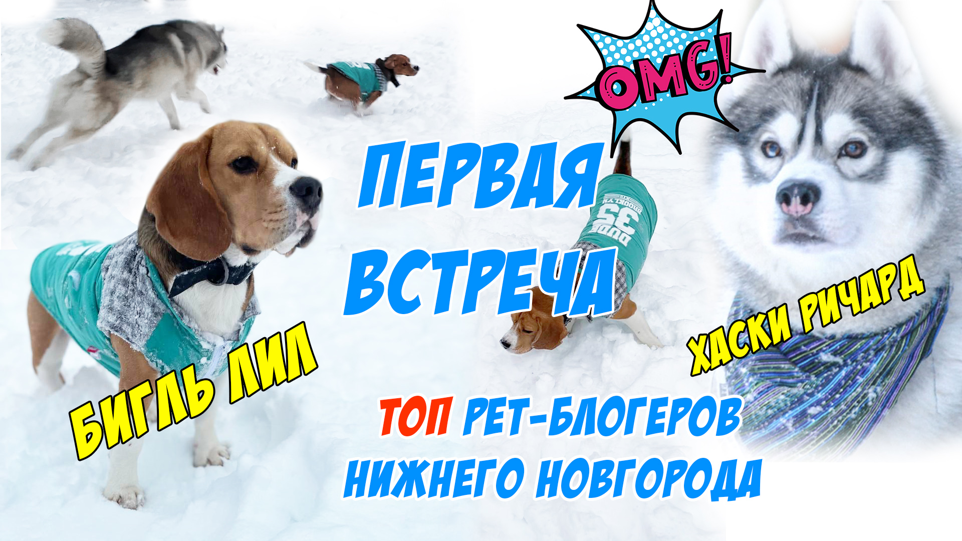 PETS ВЛОГ