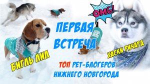 PETS ВЛОГ