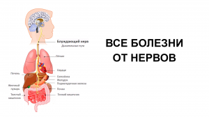 Психология теория