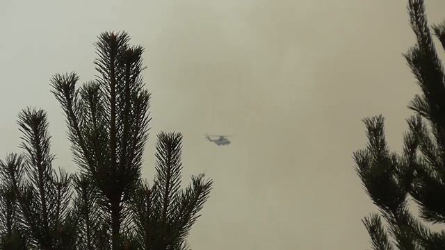 Чуток из моей жизни, тренинги, творчество