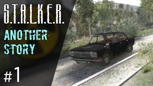 ☢ S.T.A.L.K.E.R.: Another Story (2021)