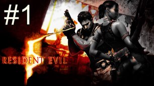 Resident Evil 5 - Прохождение игры на русском - Кооператив | PC (запись 2013 г.)
