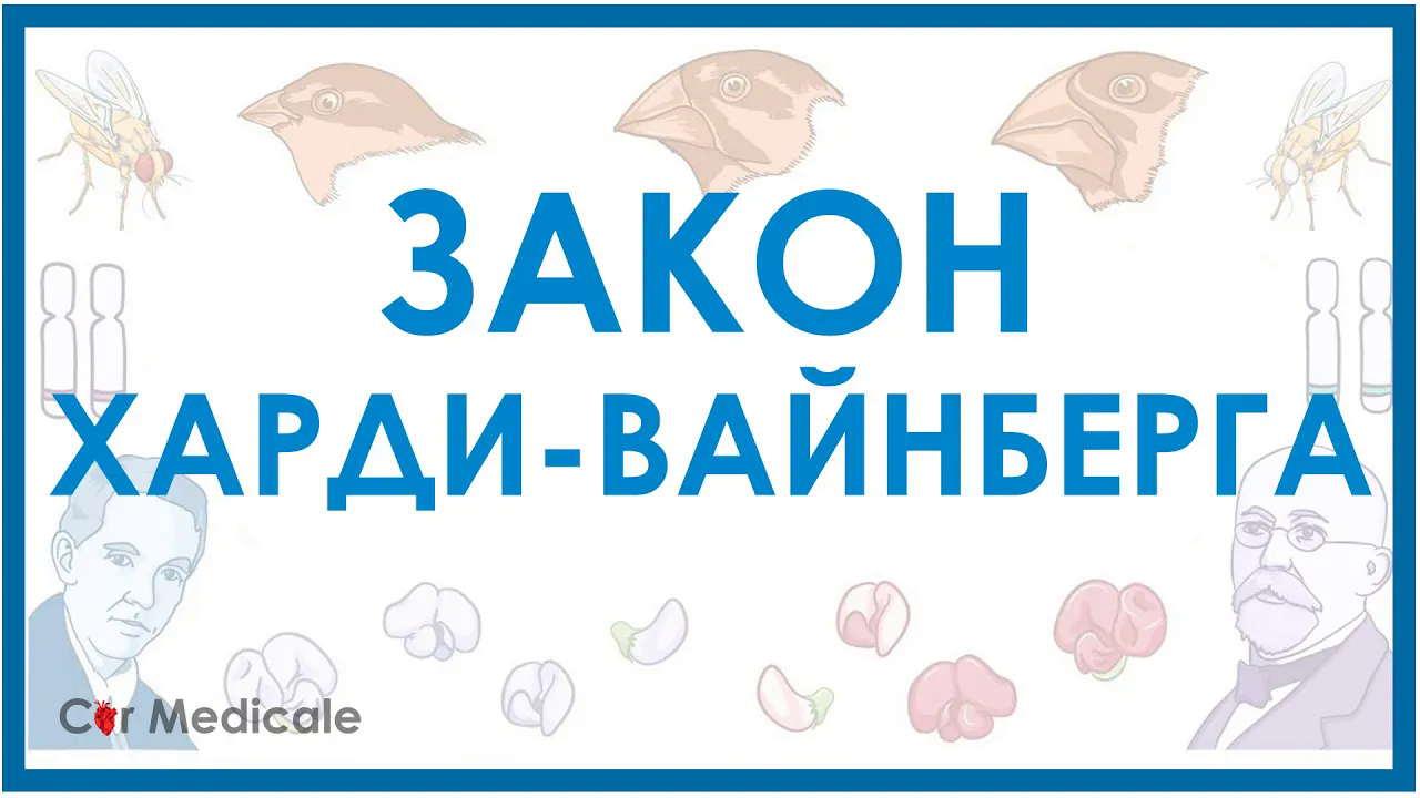 Генетика – смотреть онлайн все 5 видео от Генетика в хорошем качестве на  RUTUBE