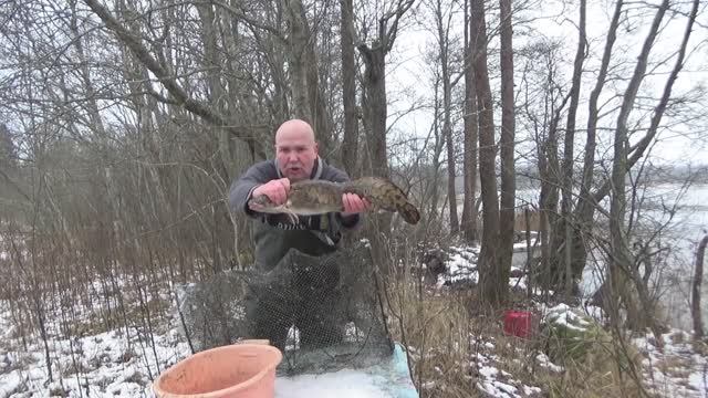 Ведро раков на самодельную раколовку - Смотреть видео онлайн