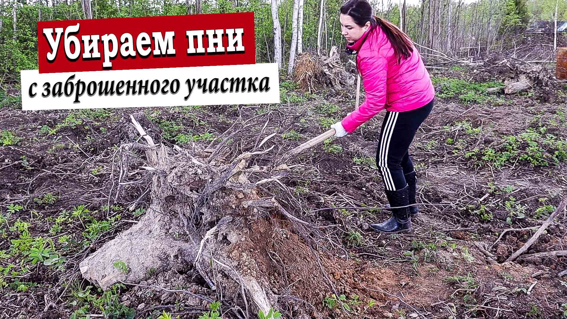 Русский секс на даче порно: шикарная коллекция русского порно на avpravoved.ru