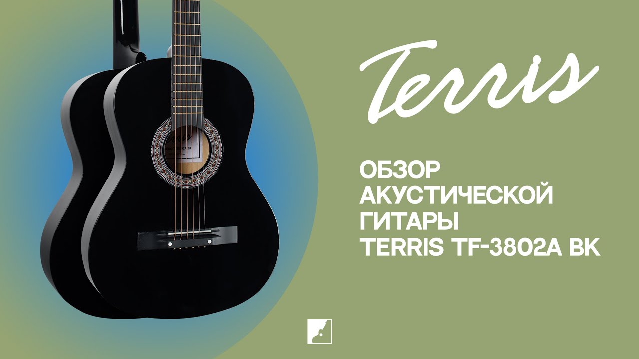 Акустические гитары Terris