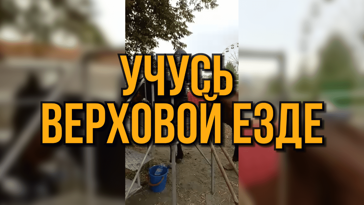 Мои увлечения! – смотреть онлайн все 3 видео от Мои увлечения! в хорошем  качестве на RUTUBE