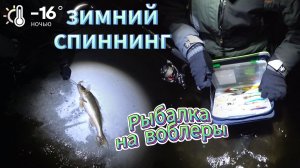 Рыбалка спиннингом на Москва - реке зимой и летом. Ловля судака и щуки на джиг и воблеры.
