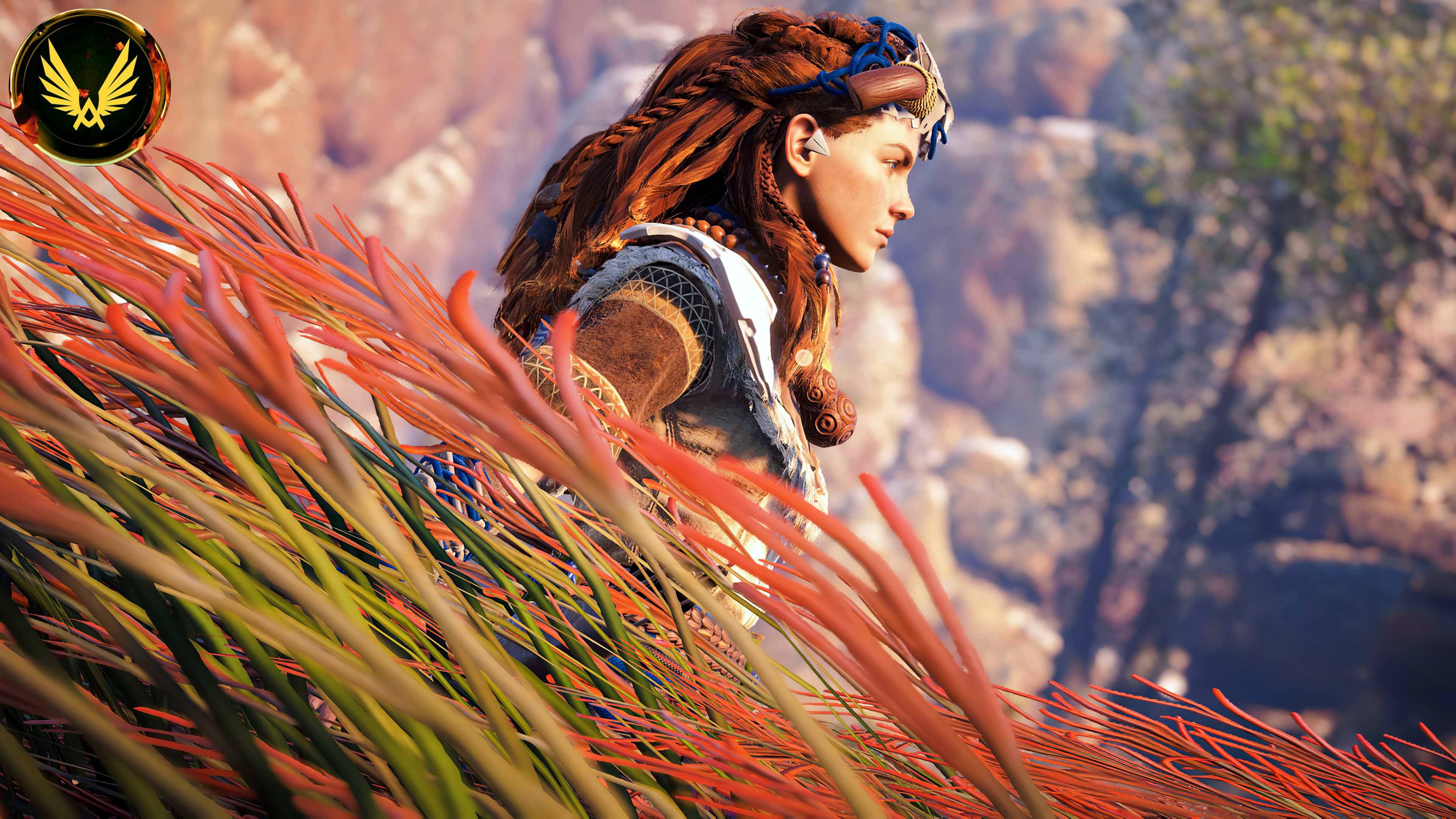 horizon zero dawn