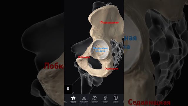Минет кезінде тістеріңізді тырнаудан қалай аулақ болуға болады Порно фотосуреттерді жалау