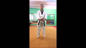 Простые соединения Taekwondo WTF. Мастер-класс Еремяна Гора Грайровича.