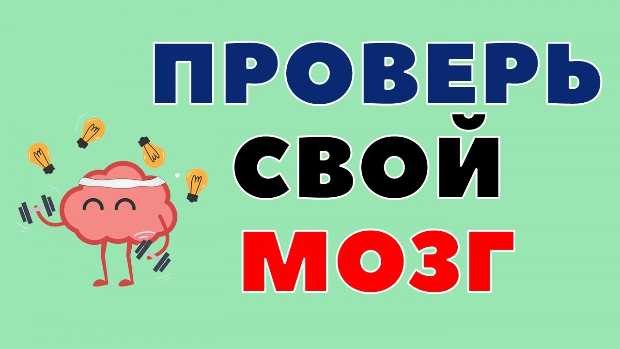 Тесты на эрудицию – смотреть онлайн все 7 видео от Тесты на эрудицию в  хорошем качестве на RUTUBE