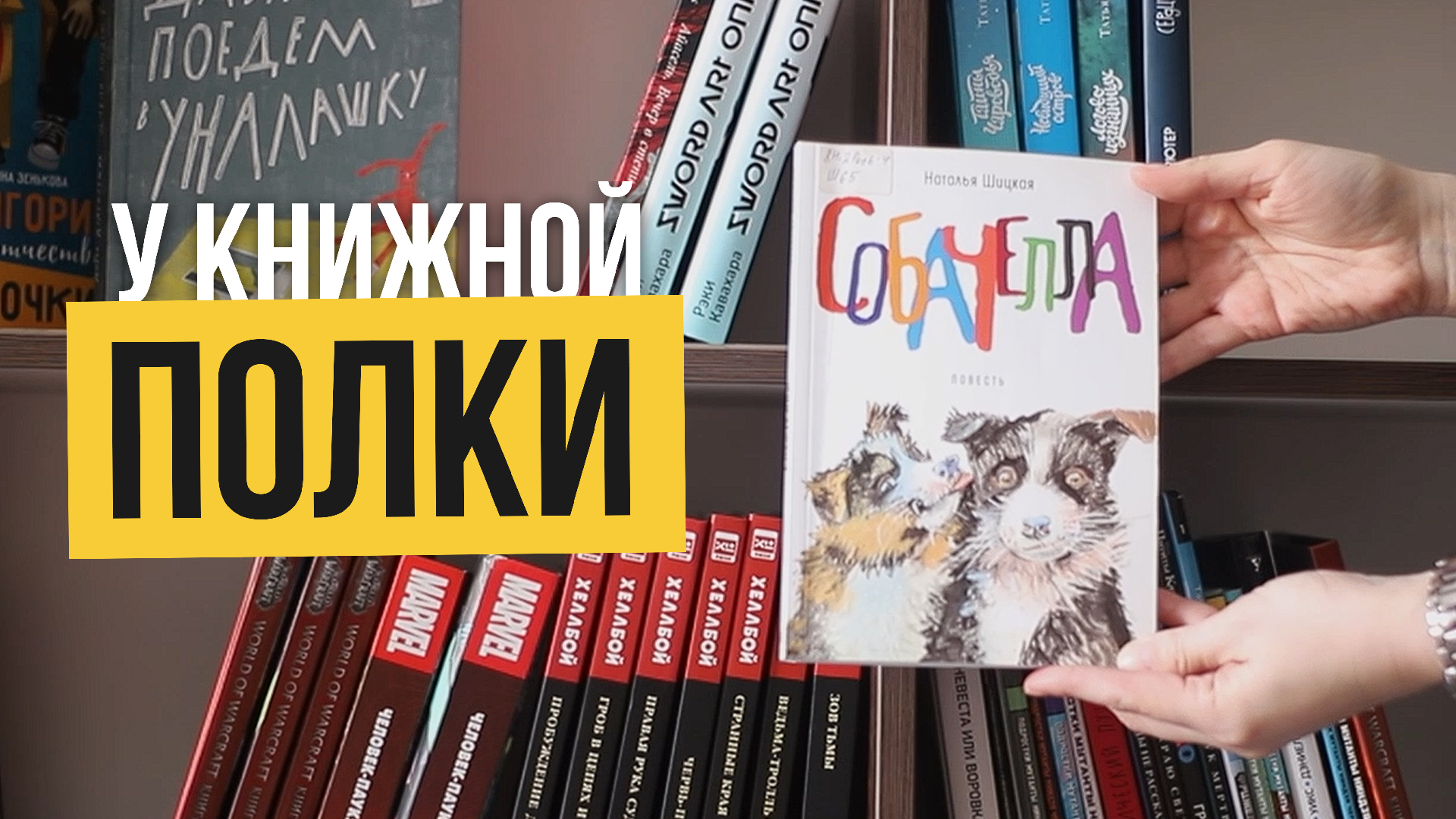 У книжной полки