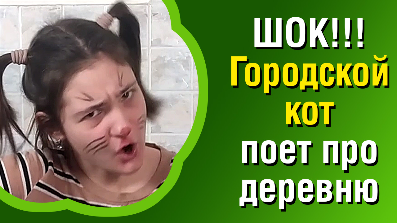 Песни кота Трифона – смотреть онлайн все 3 видео от Песни кота Трифона в  хорошем качестве на RUTUBE