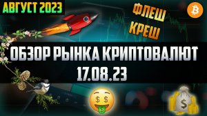 Обзоры рынка криптовалют