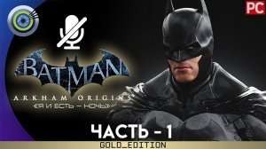 Batman: Arkham Origins ✪ Завершено 100%