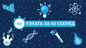 Узнать за 60 секунд