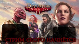 Divinity: Original Sin 2 Компьютерная игра